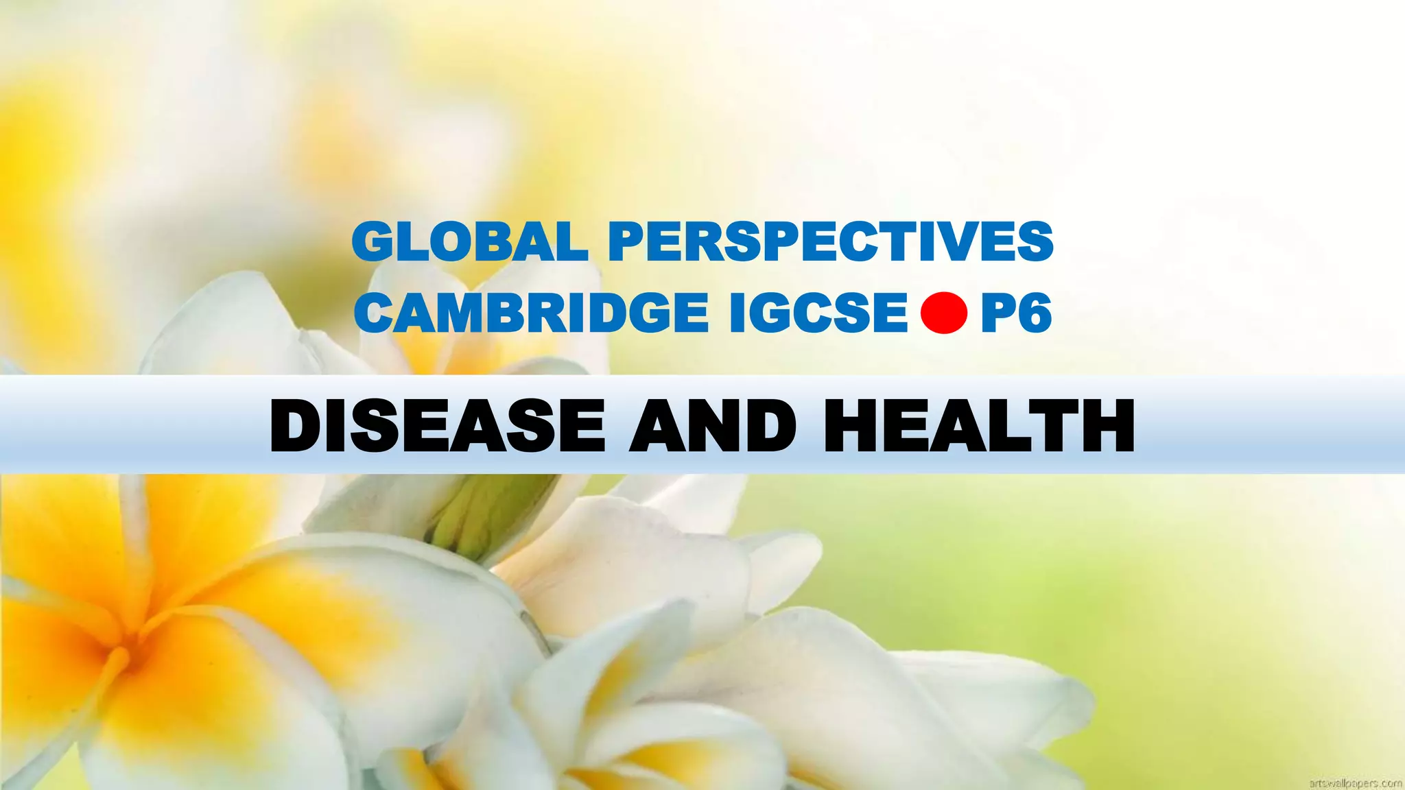 GLOBAL PERSPECTIVE CAMBRIDGE IGCSE: DISEASE AND HEALTH | PPT