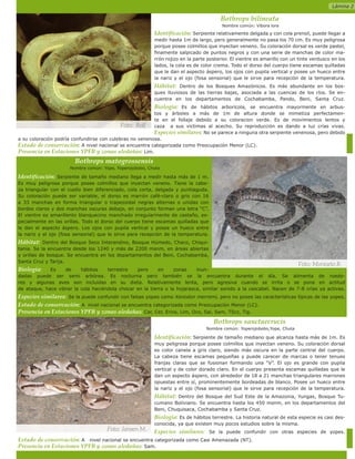 05. guia reptiles estaciones_ypfb | PDF