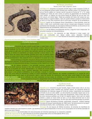 05. guia reptiles estaciones_ypfb | PDF