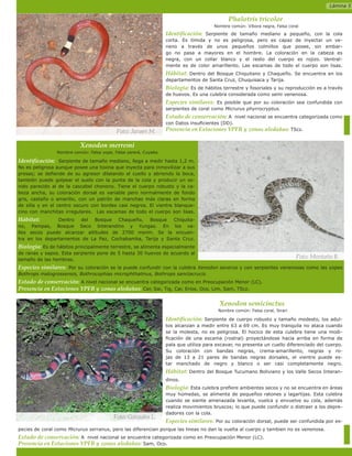 05. guia reptiles estaciones_ypfb | PDF
