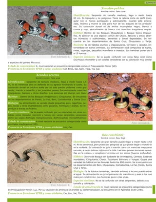 05. guia reptiles estaciones_ypfb | PDF