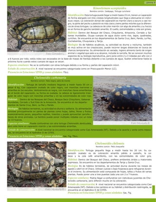 05. guia reptiles estaciones_ypfb | PDF
