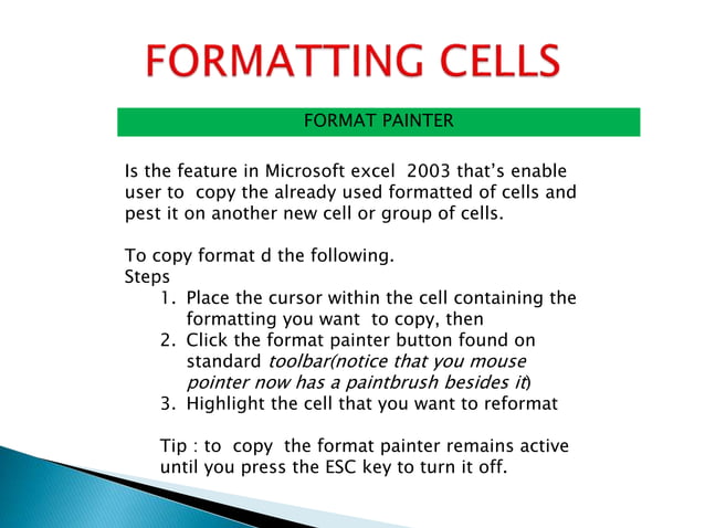 05.formatting cells | PPTX | Computing | Technology & Computing