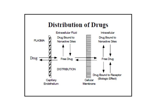 05.1 drug distribution