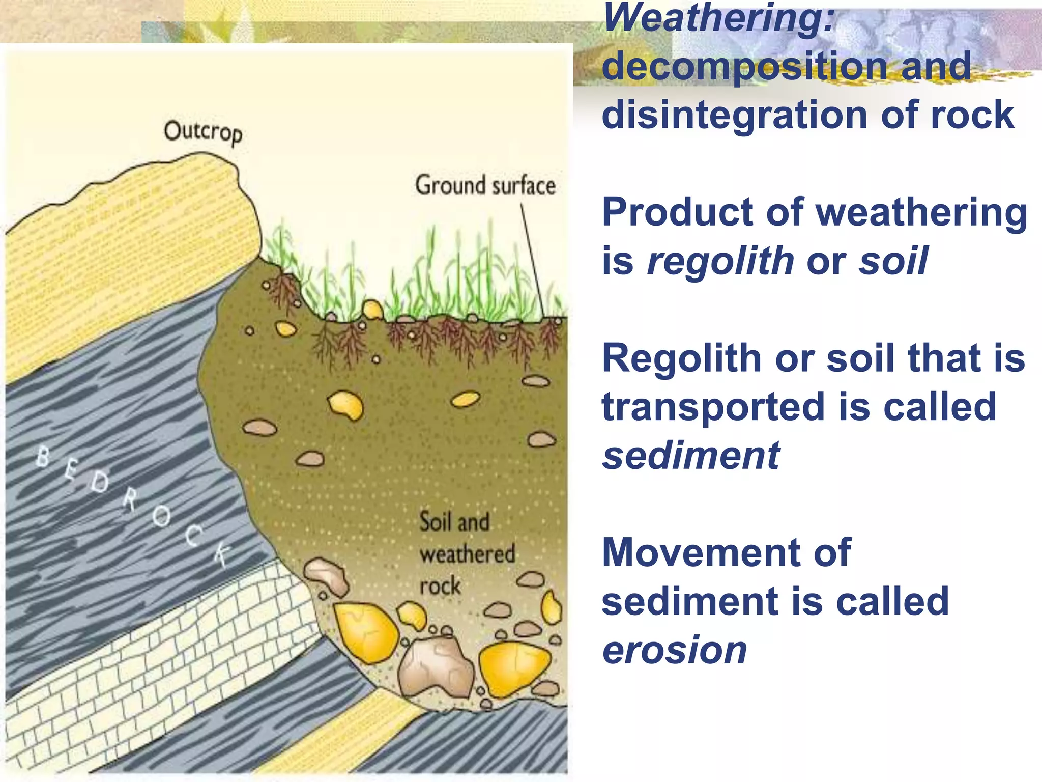 Sistem karbonat | PPTX