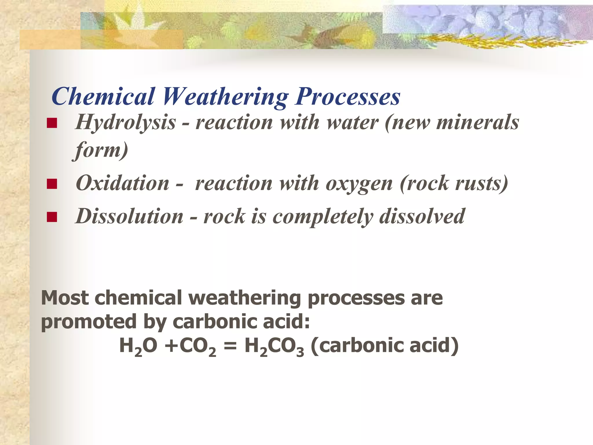 Sistem karbonat | PPTX
