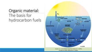 Origin of petroleum, organic and inorganic theories | PDF