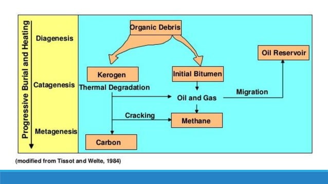 Origin of petroleum, organic and inorganic theories | PDF