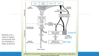 Origin of petroleum, organic and inorganic theories | PDF