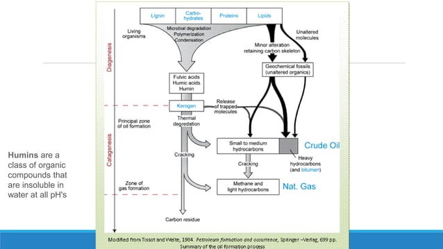 Origin of petroleum, organic and inorganic theories | PDF
