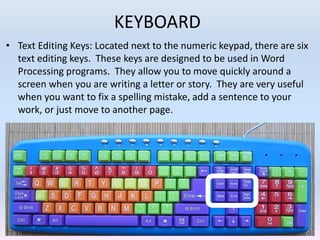 05. input devices computer | PPT