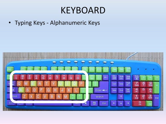 05. input devices computer | PPT