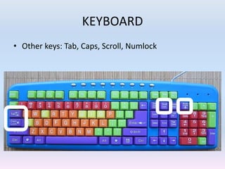 05. input devices computer | PPT