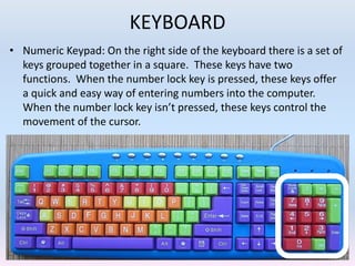 05. input devices computer | PPT
