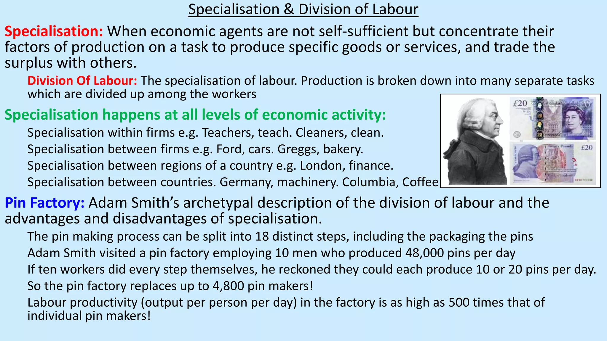 Specialisation & Division of Labour | PPTX