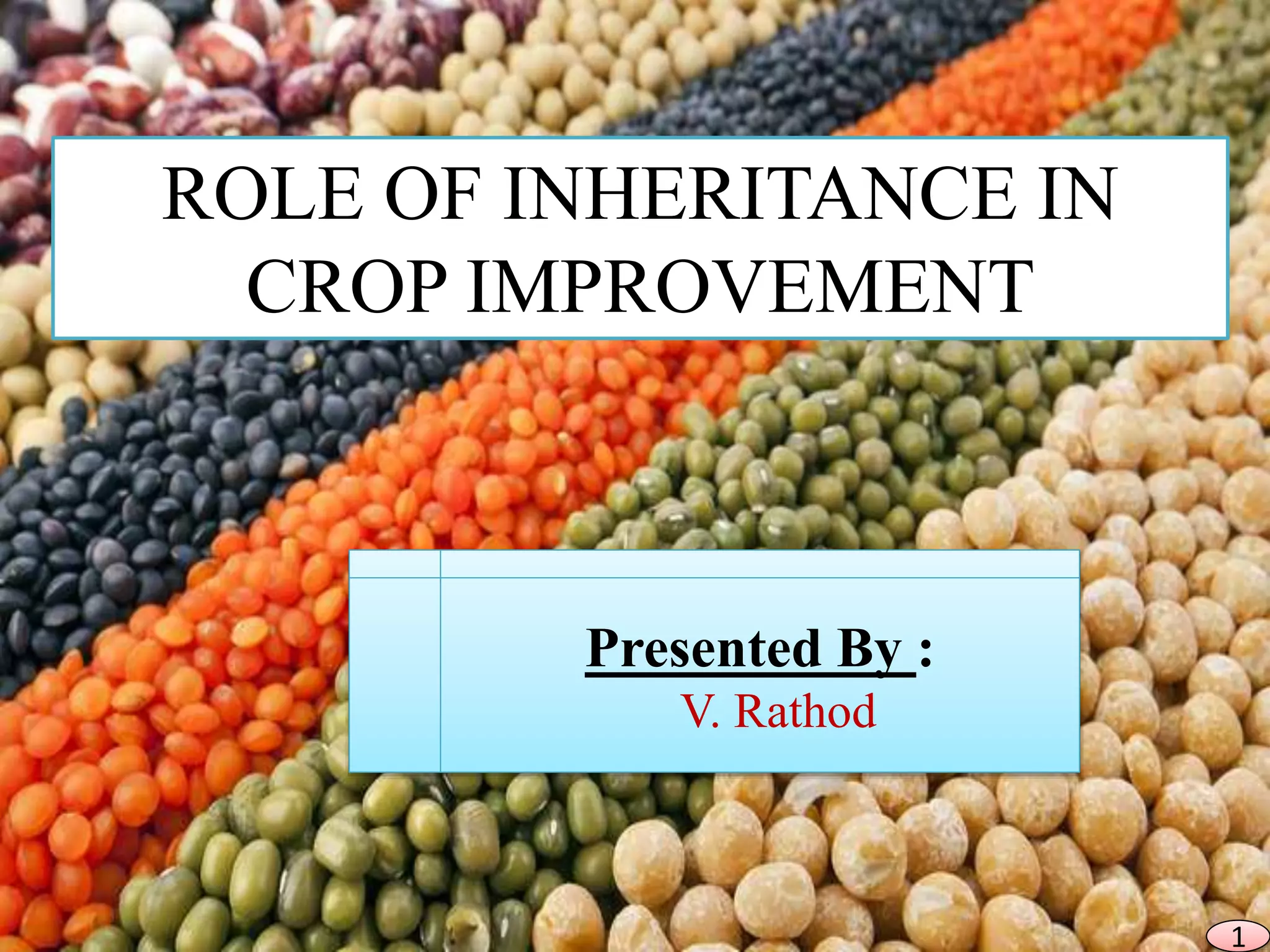 ROLE OF INHERITANCE IN CROP IMPROVEMENT | PPTX