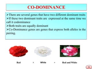 ROLE OF INHERITANCE IN CROP IMPROVEMENT | PPTX