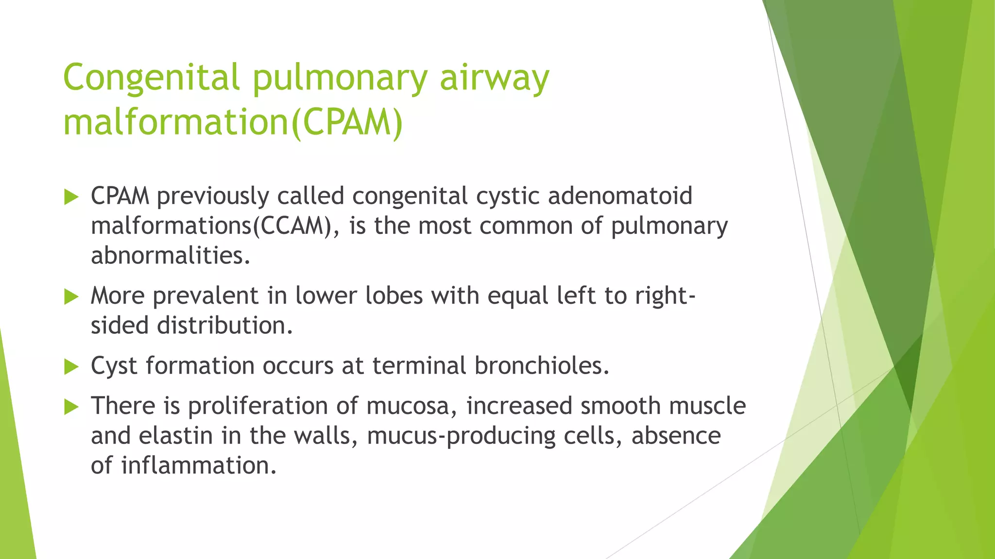 development of lung, congenital malformations of lung | PPTX