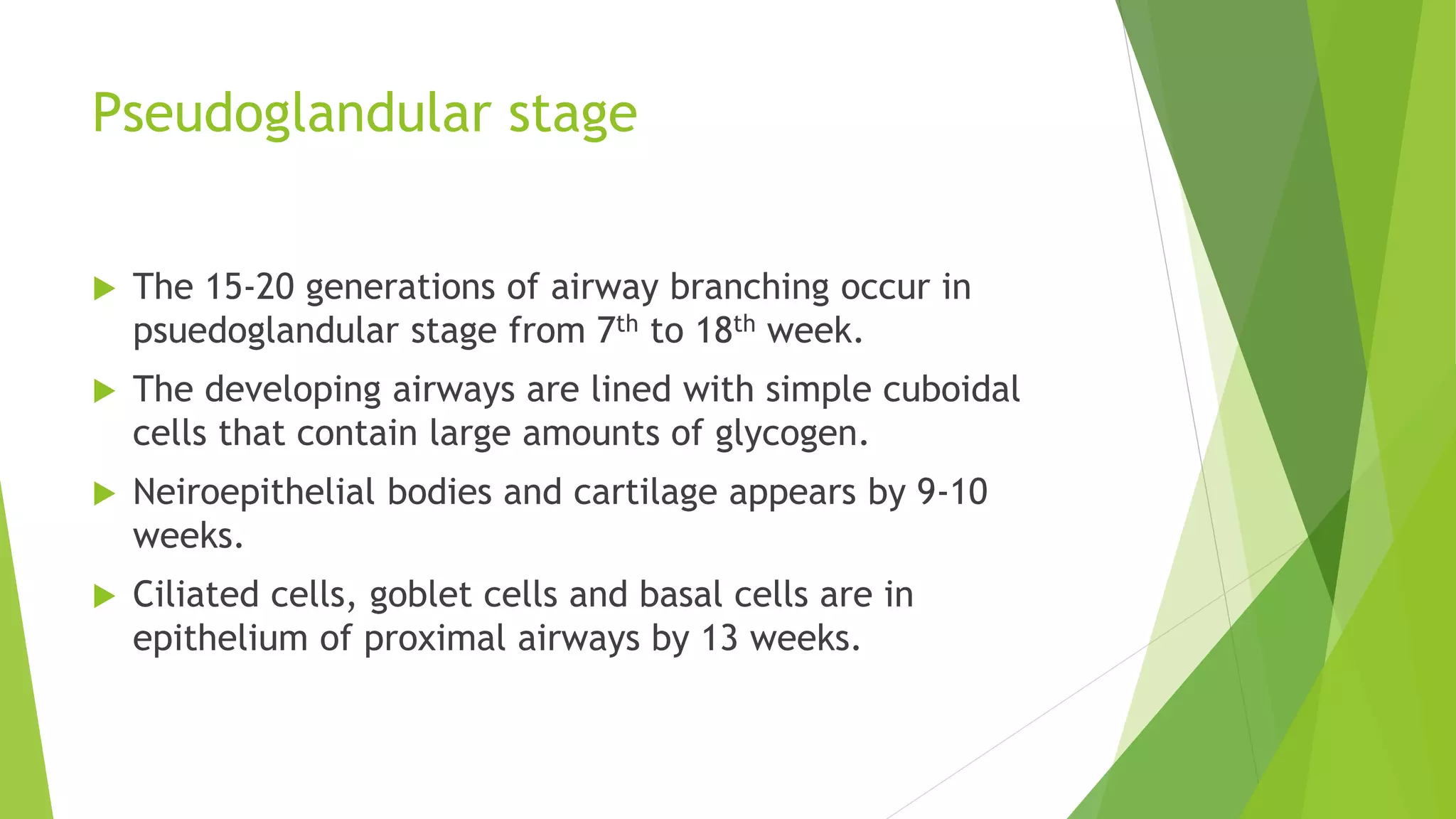 development of lung, congenital malformations of lung | PPTX