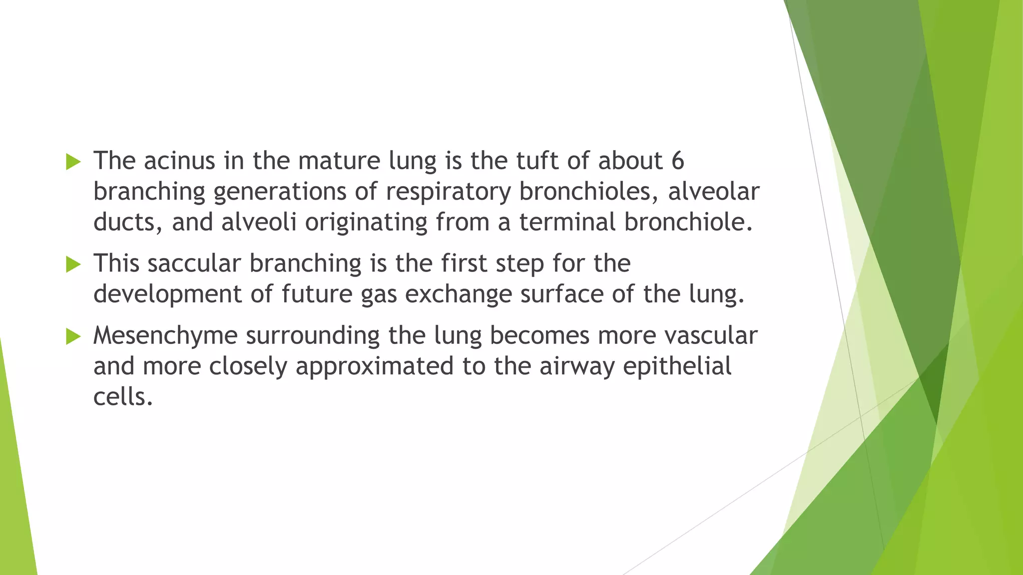 development of lung, congenital malformations of lung | PPTX