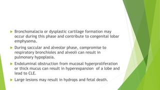 development of lung, congenital malformations of lung | PPTX