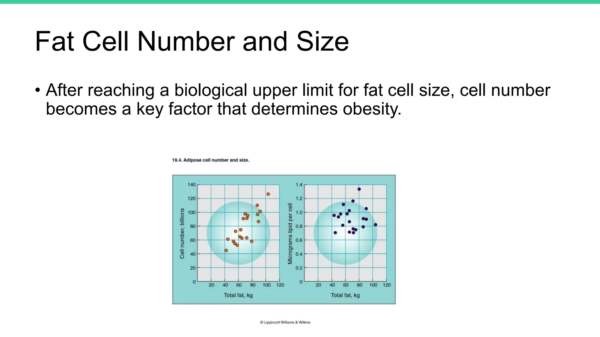 05. Obesity.pdf