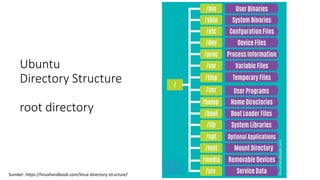 05. Ubuntu Terminal Commands.pptx | Operating Systems | Computer Software and Applications