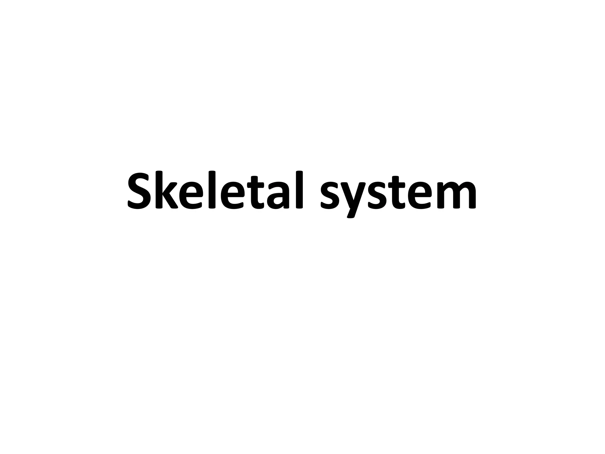 05.Skeletal system_full(1).ppt