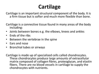 05.Skeletal system_full(1).ppt