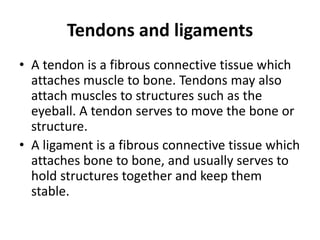 05.Skeletal system_full(1).ppt