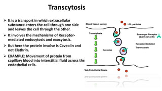 05. VESICULAR TRANSPORT - Ayesha Riyaz.pptx