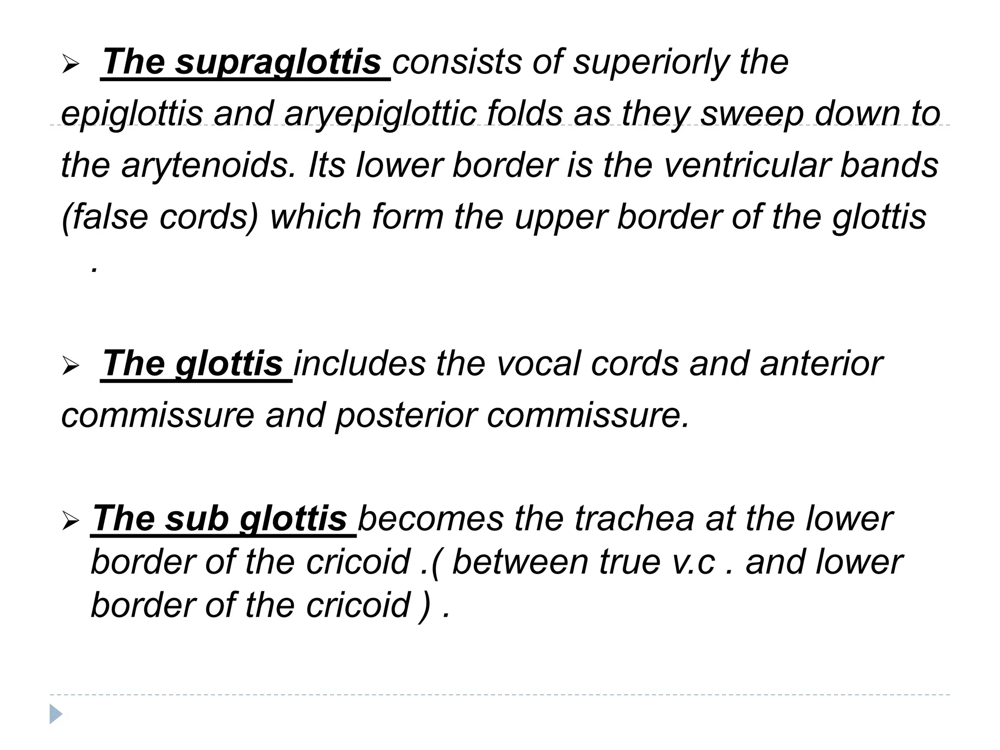 Anatomy of the Larynx.pptx