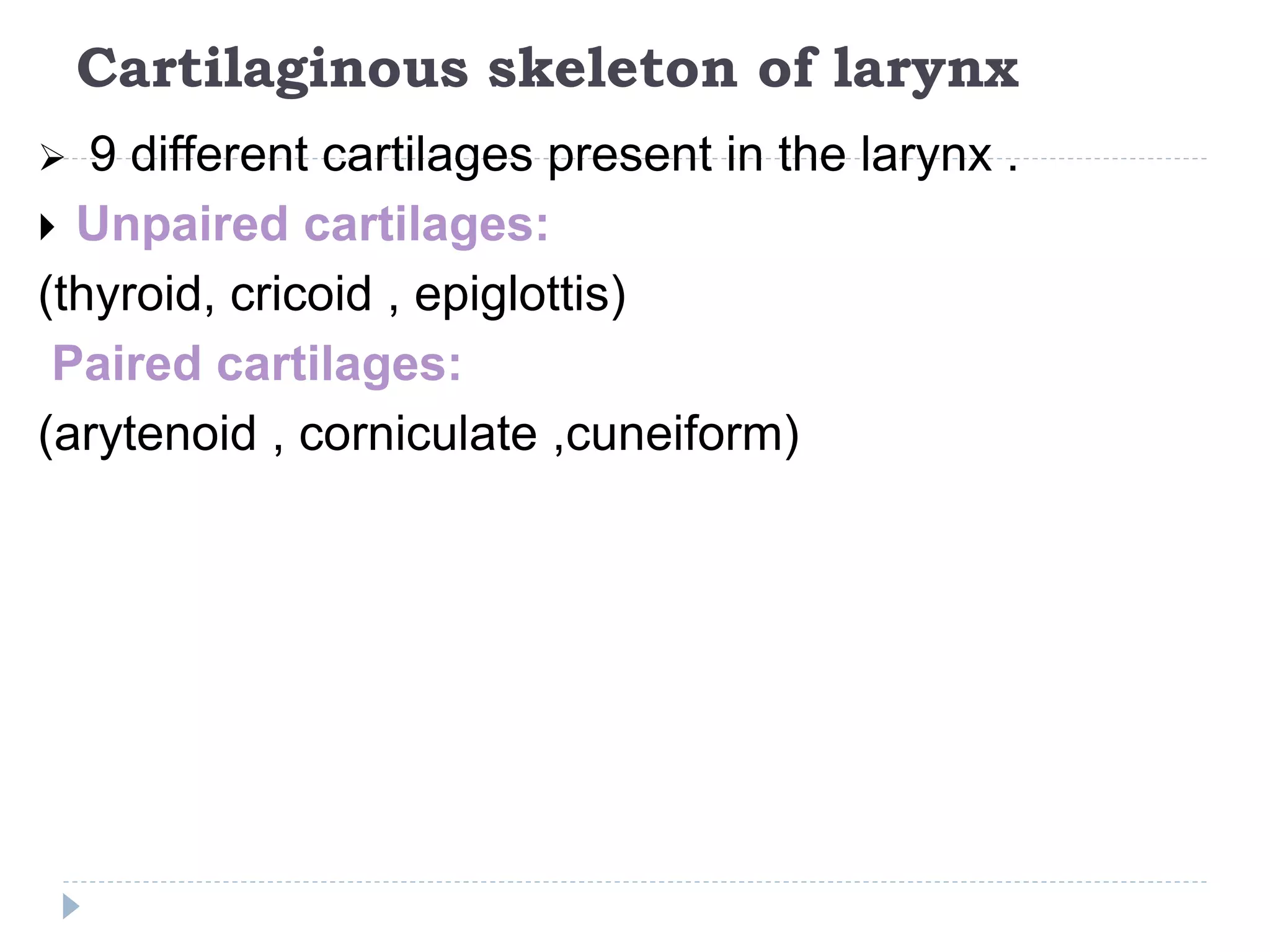 Anatomy of the Larynx.pptx