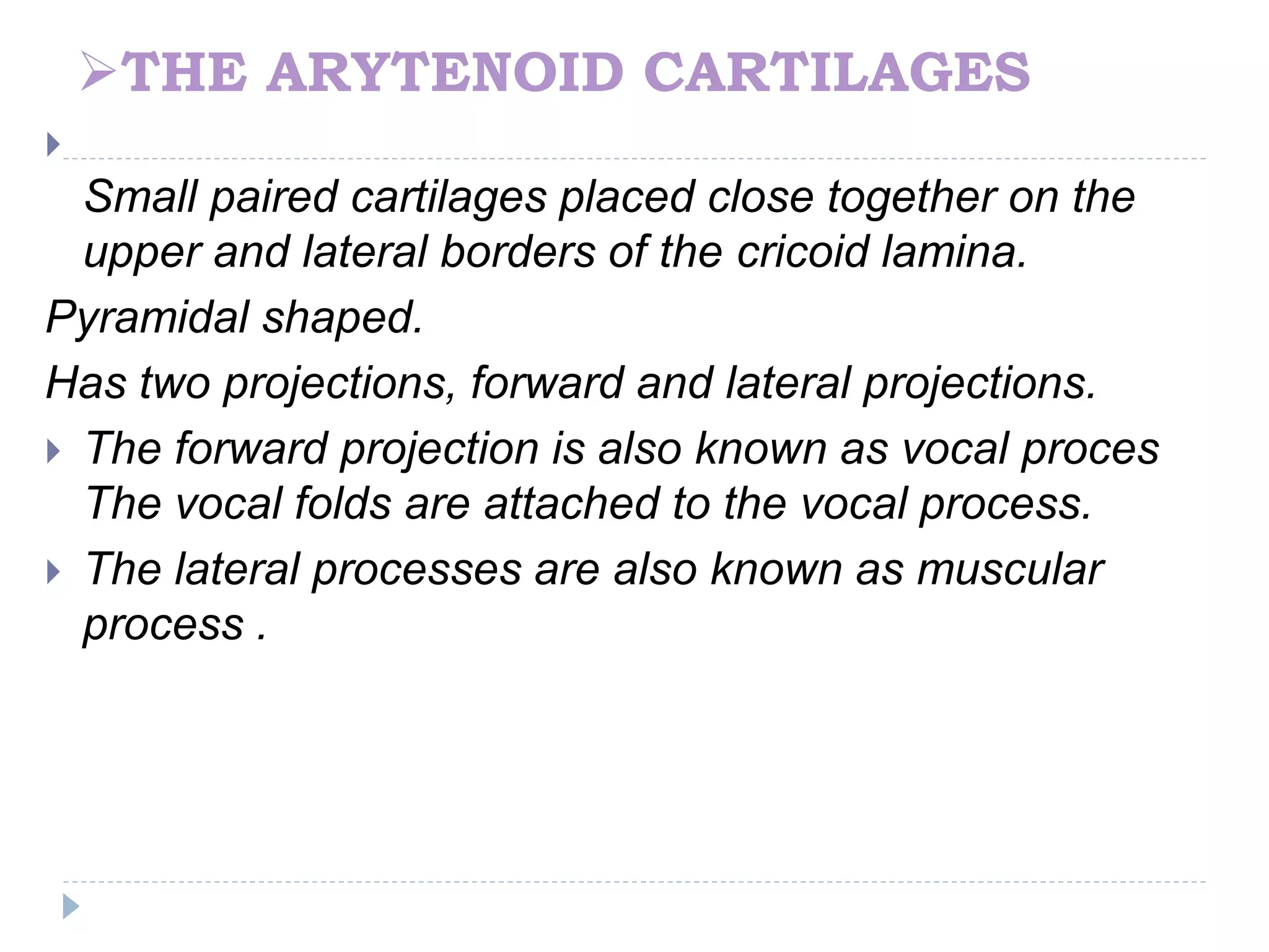 Anatomy of the Larynx.pptx