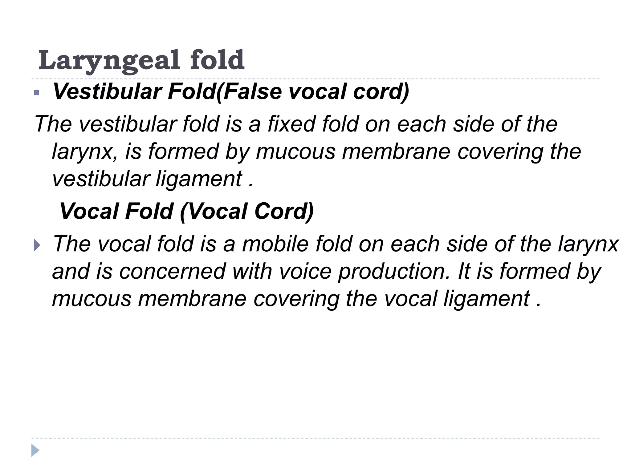 Anatomy of the Larynx.pptx