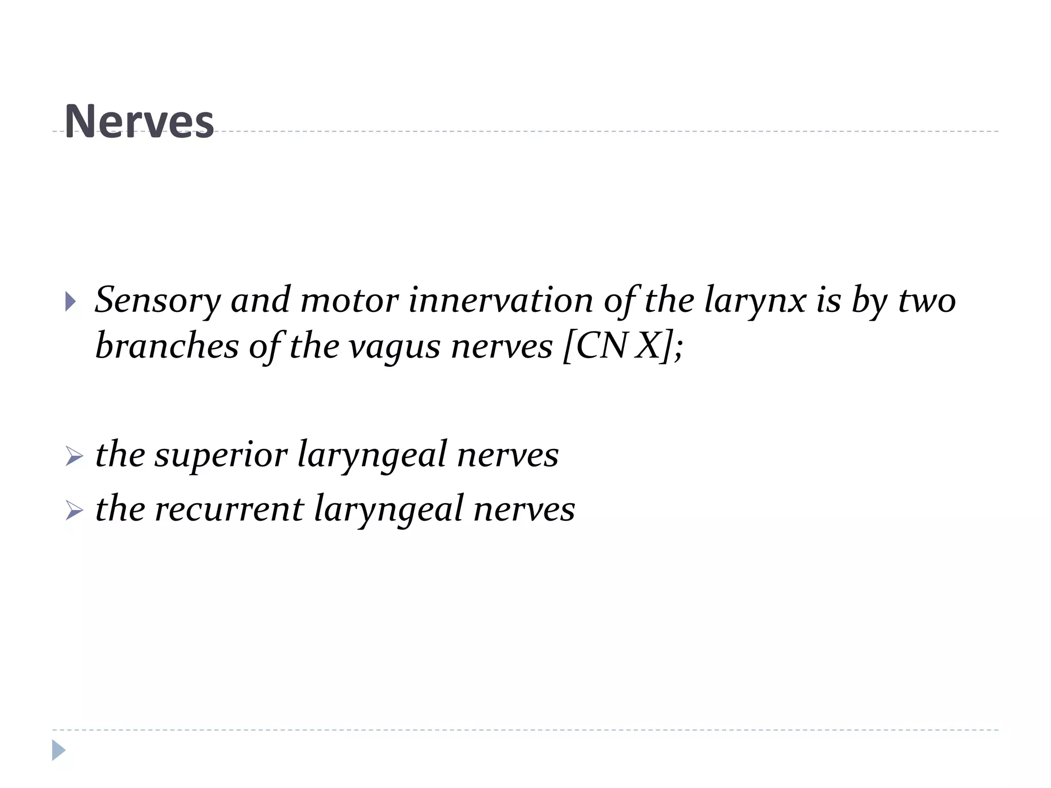 Anatomy of the Larynx.pptx