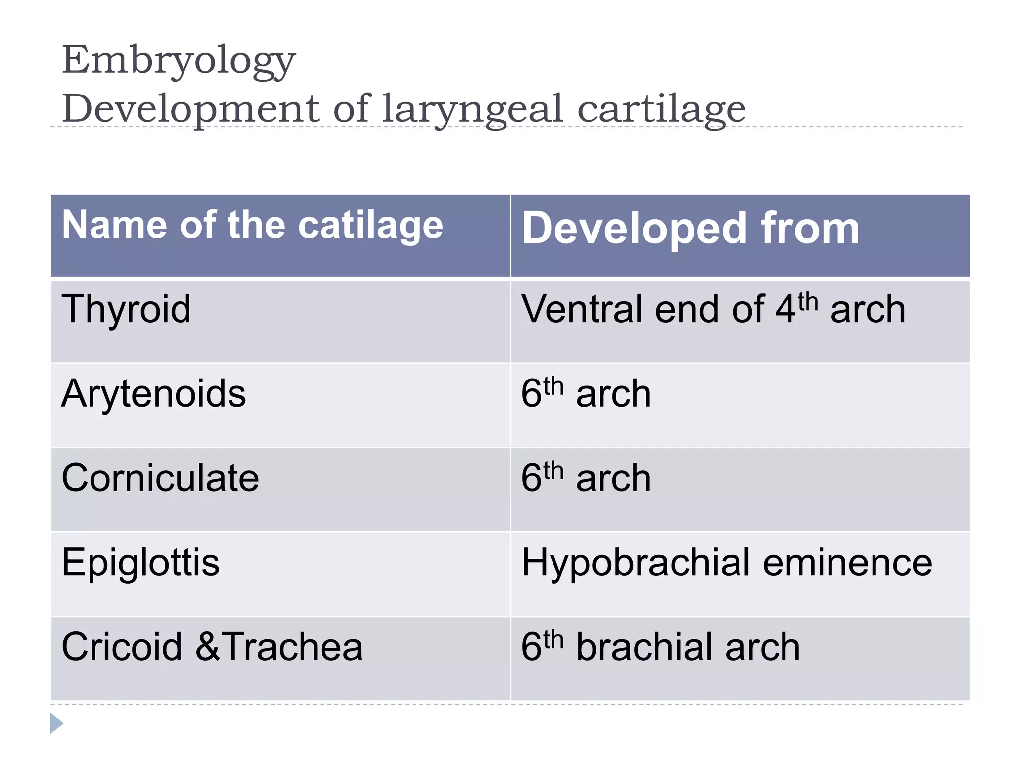 Anatomy of the Larynx.pptx