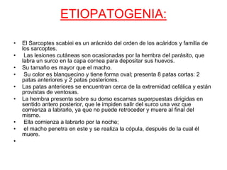 05. ZOOPARASITOSIS Y PIODERMITIS.ppt