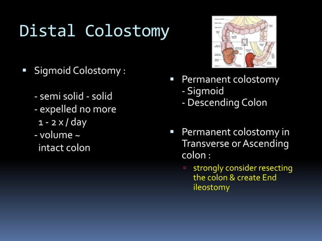 Perawatan luka dan stoma pada pasien post colostomy.ppt | First Aid ...