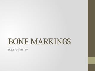 000001145. BONE MARKINGS .pptx
