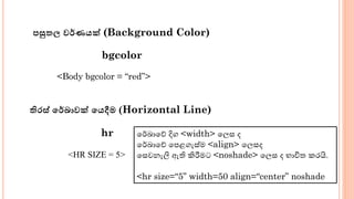 Grade 11 lesson 05 Presentation .pdf
