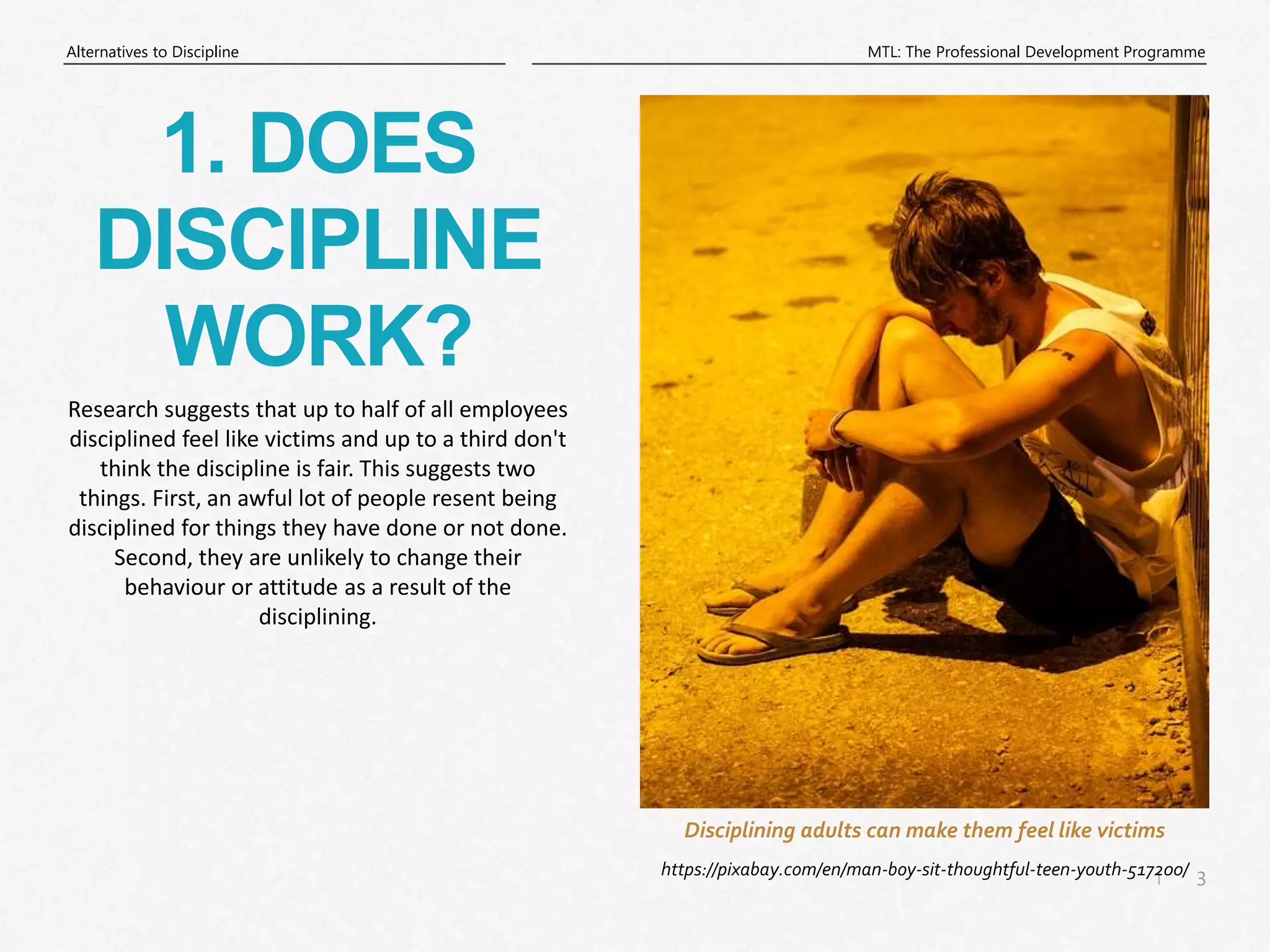 Alternatives to Discipline | PPTX