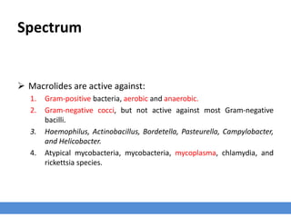 Antibiotics Groups - Macrolides | PPT