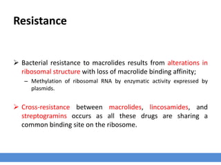 Antibiotics Groups - Macrolides | PPTX
