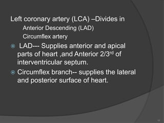 Coronary Circulation of blood in whole human body.pptx