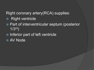 Coronary Circulation of blood in whole human body.pptx