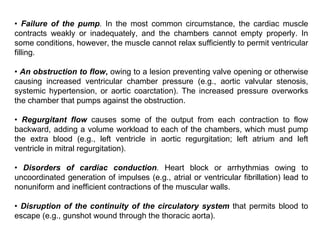 05 Cat. Cardiovascular I | PPT