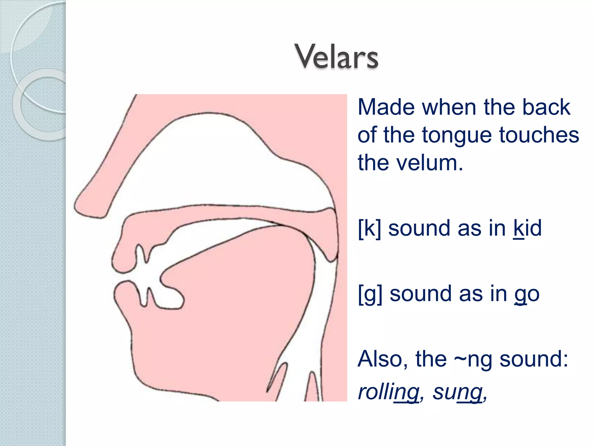 Phonetics: The Sounds of Language | PPTX