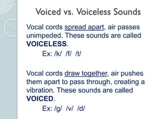 Phonetics: The Sounds of Language | PPTX