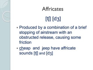 Phonetics: The Sounds of Language | PPTX